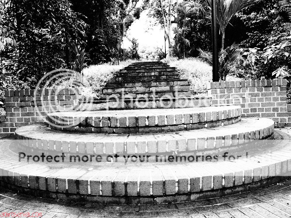 Dailies: Southern Ridges: Forest Walk > Alexandra Arch!