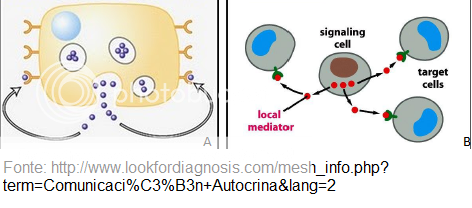 Sinalização Química - Portal da Neurobiologia